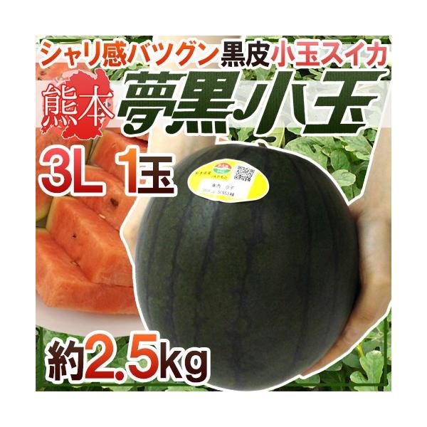 【発売日：2026年05月25日】【送料無料】こだわりの産地！熊本県小玉すいか【夢黒小玉】大玉スイカに負けないシャリ感♪皮も薄くてギリギリまで食べられます♪甘さも自慢！/小玉スイカ/西瓜/黒西瓜/ひとりじめbonbon/フルーツ/果物/2....