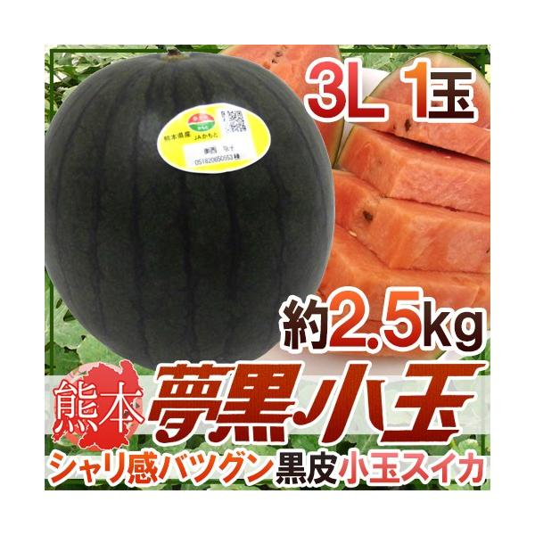 【発売日：2026年05月25日】こだわりの産地！熊本県小玉すいか【夢黒小玉】大玉スイカに負けないシャリ感♪皮も薄くてギリギリまで食べられます♪甘さも自慢！/小玉スイカ/ 西瓜/黒西瓜/ひとりじめbonbon/フルーツ/果物/2.5キロ/爆買