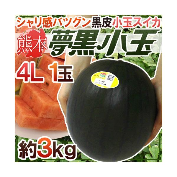 【発売日：2026年05月25日】【送料無料】こだわりの産地！熊本県産小玉すいか【夢黒小玉】大玉スイカに負けないシャリ感♪皮も薄くてギリギリまで食べられます♪甘さも自慢！/小玉スイカ/西瓜/黒西瓜/ひとりじめbonbon/フルーツ/果物/3...