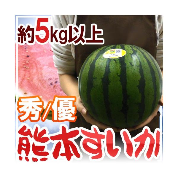 【発売日：2026年04月10日】【送料無料！】シャクシャクで甘〜い！お待たせしました大玉すいか♪爽やかな甘味としっかりとしたシャリ感のある果肉！いくらでも食べられちゃうおいしさです！母の日・父の日・お中元にも♪4月5月は熊本産すいか、6月...