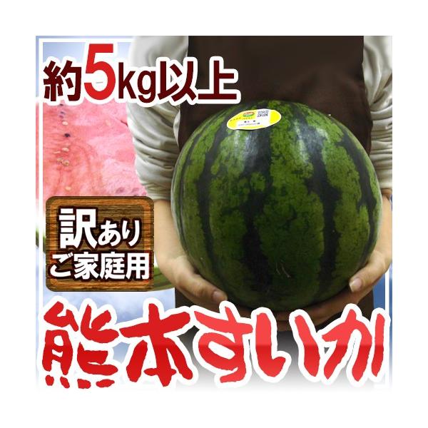 【発売日：2026年04月10日】【送料無料！】シャクシャクで甘〜い！お待たせしました大玉すいか♪爽やかな甘味としっかりとしたシャリ感のある果肉！いくらでも食べられちゃうおいしさです！母の日・父の日・お中元にも♪4月5月は熊本産すいか、6月...