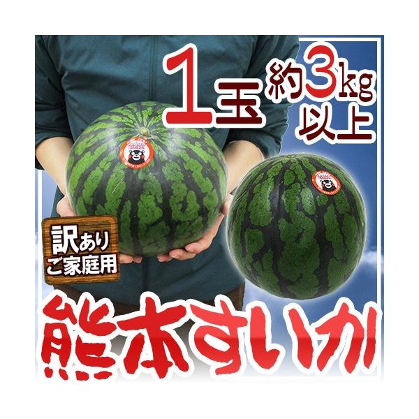 【発売日：2026年04月10日】【送料無料！】シャクシャクで甘〜い！お待たせしました大玉すいか♪爽やかな甘味としっかりとしたシャリ感のある果肉！いくらでも食べられちゃうおいしさです！母の日・父の日・お中元にも♪4月5月は熊本産すいか、6月...