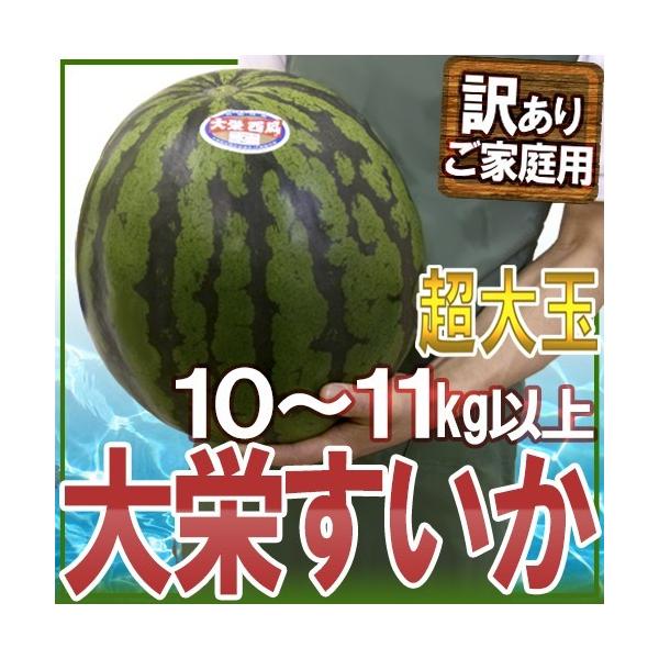 【発売日：2026年06月15日】超特大ジャンボ！5Lサイズ、鳥取　大栄スイカ【超特大スイカ】糖度センサーでハズレ無しの甘さ！わけあり特別価格でのご提供です♪お中元にも♪4月5月は熊本産すいか、6月7月は大栄西瓜、8月9月は山形産尾花沢すい...