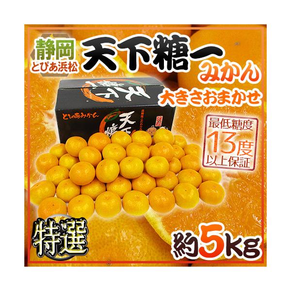 【発売日：2026年10月30日】【送料無料】糖度13度以上保証！まろやかな甘さ♪天下統一を目指す浜松の新ブランド「天下糖一」この時期にこんなに美味しいみかんが食べられる♪みかん/ミカン/蜜柑/静岡/しずおか/てんかとういつ/テンカトウイツ...