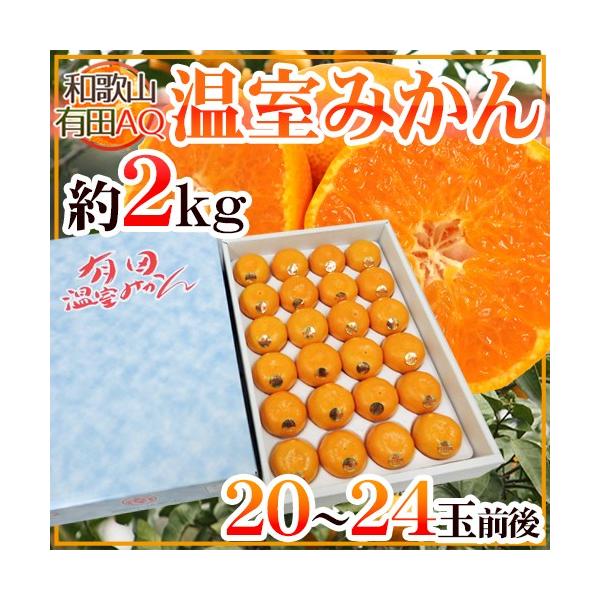 【発売日：2026年05月30日】【送料無料！】ハウス内で徹底管理され丁寧に育てられたみかんは、びっくりするほど濃厚。見た目も美しい秀品♪/有田みかん/有田ミカン/有田蜜柑/温室みかん/温室ミカン/温室蜜柑/ハウスみかん/ハウスミカン/ハウ...
