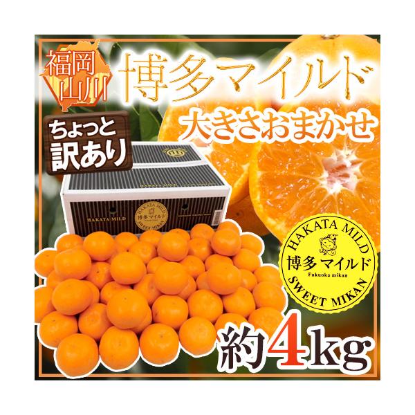 【発売日：2025年11月15日】【送料無料！】厳密な管理と厳正な選果で選び抜かれた「山川みかんの超エリート！」細かな手のかかる栽培で安定した甘さを実現しました♪糖度12度以上保証！「山川みかん」「福岡みかん」「マイルドみかん」「マル特」「...