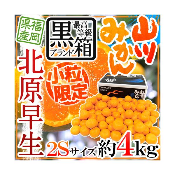 【発売日：2026年10月15日】この時期にもうこんなに甘い！？冬のみかんの糖度設定に負けない「糖度12度以上」という驚異の糖度を誇るブランドみかん！福岡自慢の新品種「北原早生」厳選品みかん/ミカン/蜜柑/極早生みかん/早生みかん/北原早生...