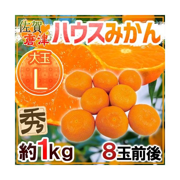 【発売日：2026年06月10日】【送料無料】生産量日本一！ハウスみかんの名産地、JAからつの自信作みかん♪夏に嬉しい濃厚な甘さとほどよい酸味！とっても贅沢な味わいのみかんです♪みかん/ミカン/蜜柑/佐賀みかん/ハウスみかん/温室みかん/唐...