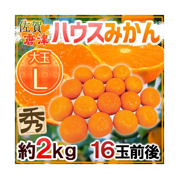 【発売日：2026年06月10日】【送料無料】生産量日本一！ハウスみかんの名産地、JAからつの自信作みかん♪夏に嬉しい濃厚な甘さとほどよい酸味！とっても贅沢な味わいのみかんです♪みかん/ミカン/蜜柑/佐賀みかん/ハウスみかん/温室みかん/唐...