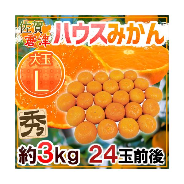 【発売日：2026年06月10日】【送料無料】生産量日本一！ハウスみかんの名産地、JAからつの自信作みかん♪夏に嬉しい濃厚な甘さとほどよい酸味！とっても贅沢な味わいのみかんです♪みかん/ミカン/蜜柑/佐賀みかん/ハウスみかん/温室みかん/唐...