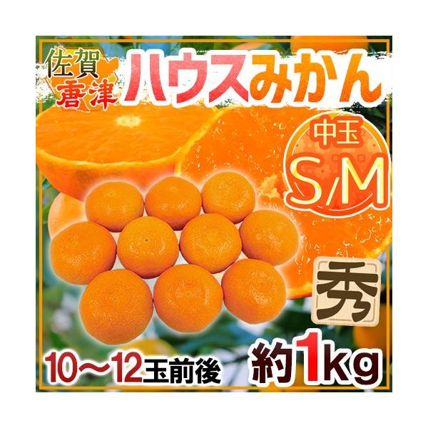 【発売日：2026年06月10日】【送料無料】生産量日本一！ハウスみかんの名産地、JAからつの自信作みかん♪夏に嬉しい濃厚な甘さとほどよい酸味！とっても贅沢な味わいのみかんです♪みかん/ミカン/蜜柑/佐賀みかん/ハウスみかん/温室みかん/唐...