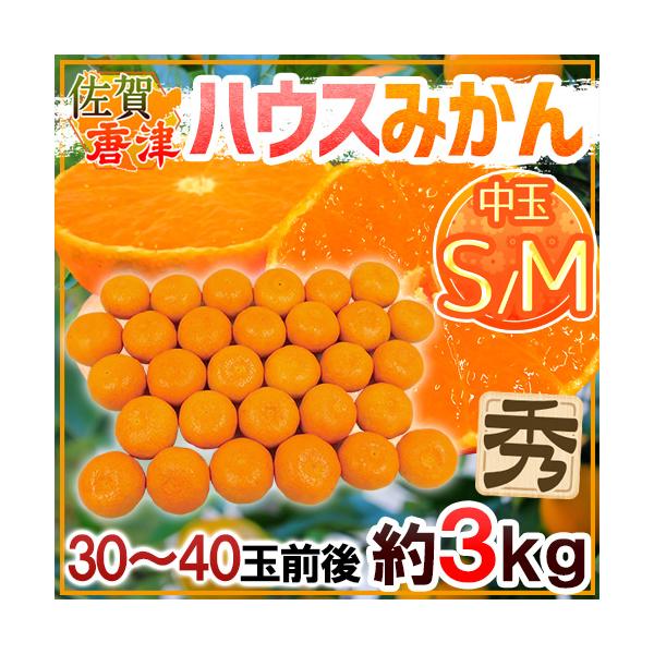 【発売日：2026年06月10日】【送料無料】生産量日本一！ハウスみかんの名産地、JAからつの自信作みかん♪夏に嬉しい濃厚な甘さとほどよい酸味！とっても贅沢な味わいのみかんです♪みかん/ミカン/蜜柑/佐賀みかん/ハウスみかん/温室みかん/唐...