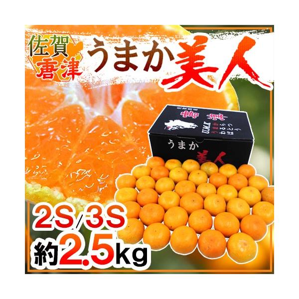【発売日：2026年10月20日】【送料無料】「はまさき」などの産地としても知られる、佐賀の柑橘栽培の雄、JAからつの自信作みかん「うまか美人」糖度１１度以上の甘さと、しっかりとしたコクが自慢♪みかん/ミカン/蜜柑/佐賀みかん/うまかびじん...
