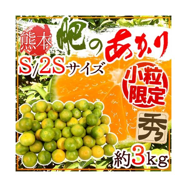 【発売日：2026年09月25日】【送料無料】糖度10度以上保証！緑色なのに酸っぱくなくてまろやかな甘さ！？熊本自慢の極早生みかん「肥のあかり」みかんシーズンの到来を告げてくれるおいしさです♪みかん/ミカン/蜜柑/熊本みかん/ひのあかり/ヒ...