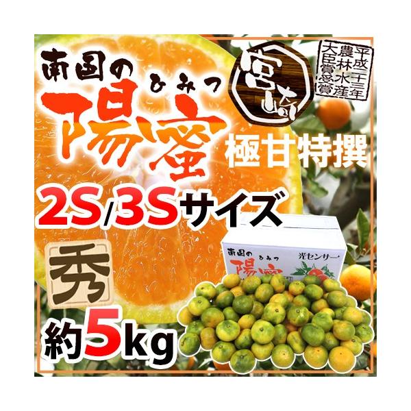 【発売日：2026年09月20日】【送料無料！】「この時期にもうこんなに甘いみかんがあるの！？」と驚くくらいしっかり甘味ののったみかん♪中でもぎゅぎゅっと味を凝縮した小粒のものをお届けします！/フルーツ/果物/5キロ/爆買