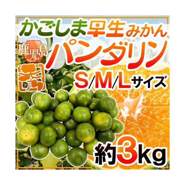 【発売日：2026年09月25日】【送料無料】「かごしま早生温州みかん」の中でも基準に達したものだけが名乗れるブランド「パンダリン」カワイイ名前に反して実力はホンモノです！みかん/ミカン/蜜柑/鹿児島みかん/パンダリンみかん/フルーツ/果物...