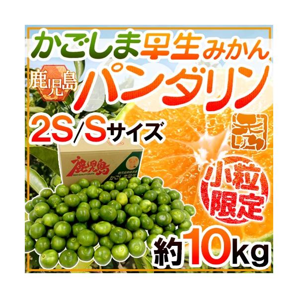 【発売日：2026年09月25日】【送料無料】「かごしま早生温州みかん」の中でも基準に達したものだけが名乗れるブランド「パンダリン」カワイイ名前に反して実力はホンモノです！みかん/ミカン/蜜柑/鹿児島みかん/パンダリンみかん/フルーツ/果物...