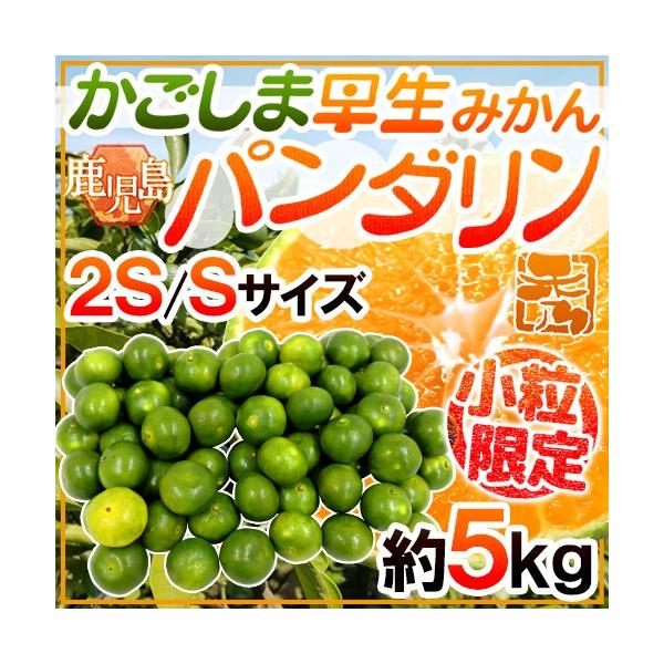 【発売日：2026年09月25日】【送料無料】「かごしま早生温州みかん」の中でも基準に達したものだけが名乗れるブランド「パンダリン」カワイイ名前に反して実力はホンモノです！みかん/ミカン/蜜柑/鹿児島みかん/パンダリンみかん/フルーツ/果物...