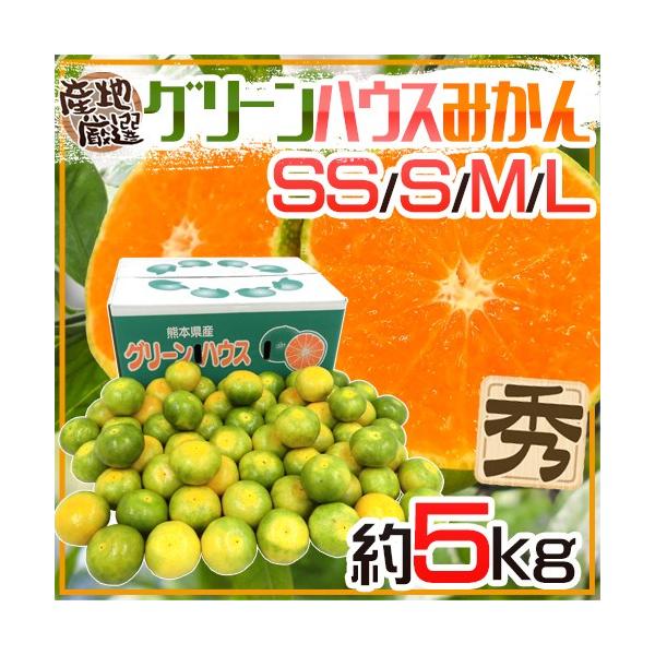 【発売日：2026年08月15日】【送料無料】見た目は緑だけど中身は完熟！まろやかな甘酸っぱさと瑞々しく爽やかな味わいのグリーンハウスみかん！！行楽やスポーツの差し入れにもオススメ♪みかん/ミカン/蜜柑/グリーンみかん/ハウスみかん/フルー...