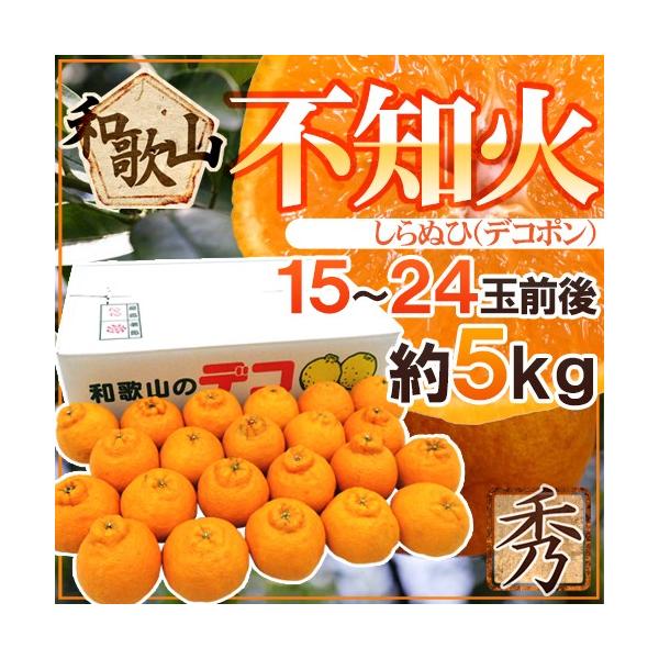 【発売日：2026年02月10日】【送料無料】ミカンの名産地・和歌山産の「不知火」清見オレンジとポンカンの掛け合わせ品種で、高級柑橘デコポンと同じ品種です。ジューシーでコクあまな果汁は味のバランスも抜群！みかんのように手で簡単に皮をむいてた...