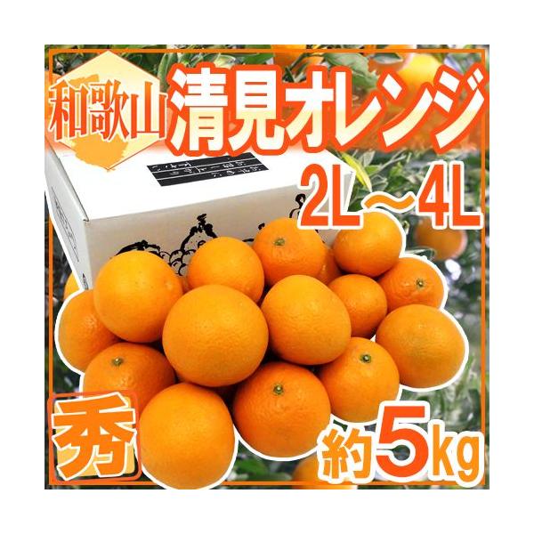 【発売日：2026年03月10日】【送料無料】「せとか」も「デコポン」も「天草」も清見オレンジの子供です♪有名品種の"偉大なる母品種"清見オレンジ！様々な品種の親されるほど優秀な品種をお買い得価格でご提供！/フルーツ/果物/5キロ/爆買