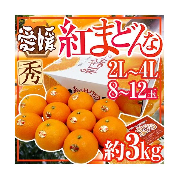 【発売日：2025年12月10日】【送料無料】驚愕の新品種！このプルプル新食感はほかにない！今ＴＶや雑誌でも引っ張りだこの話題の柑橘です！！甘さとほのかな酸味のバランスな新食感はクセになる！/媛まどんな/愛果28号/紅まどんな/紅マドンナ/...