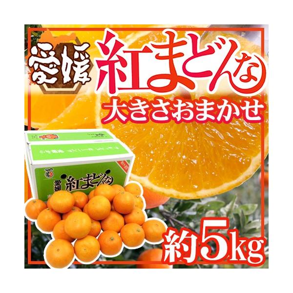 【発売日：2025年12月10日】【送料無料】驚愕の新品種！このプルプル新食感はほかにない！今ＴＶや雑誌でも引っ張りだこの話題の柑橘です！！甘さとほのかな酸味のバランスな新食感はクセになる！/訳あり/媛まどんな/愛果28号/紅まどんな/紅マ...