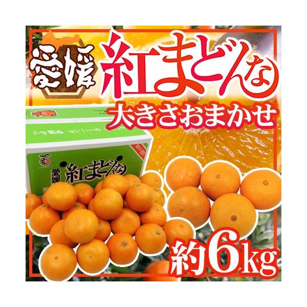 【発売日：2025年12月10日】【送料無料】驚愕の新品種！このプルプル新食感はほかにない！今ＴＶや雑誌でも引っ張りだこの話題の柑橘です！！甘さとほのかな酸味のバランスな新食感はクセになる！/媛まどんな/愛果28号/紅まどんな/紅マドンナ/...