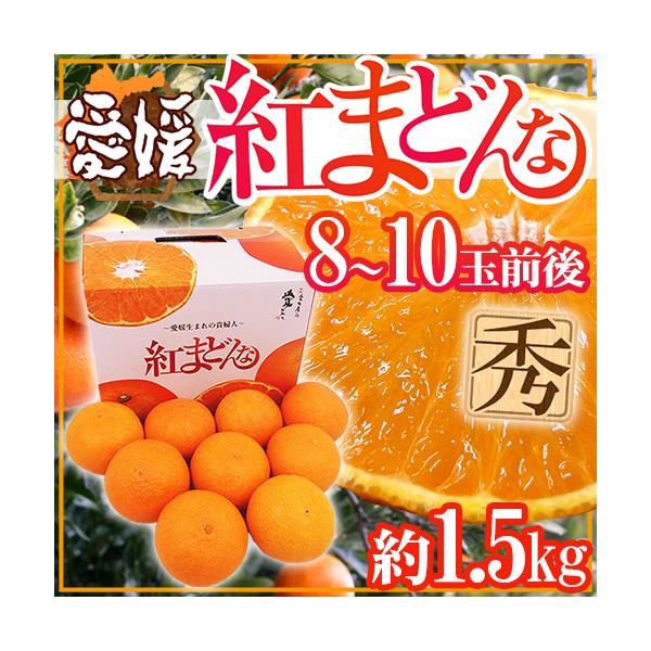 【発売日：2025年12月10日】【送料無料】驚愕の新品種！このプルプル新食感はほかにない！今ＴＶや雑誌でも引っ張りだこの話題の柑橘です！！甘さとほのかな酸味のバランスな新食感はクセになる！/媛まどんな/愛果28号/紅まどんな/紅マドンナ/...