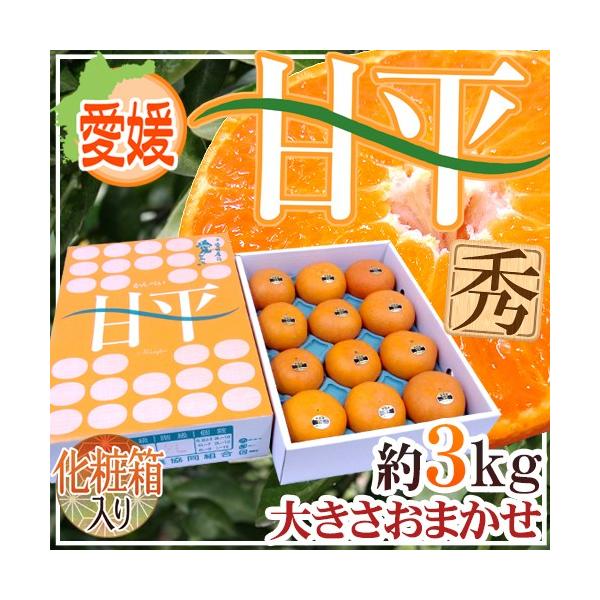 【発売日：2026年01月15日】【送料無料】甘さ、ギッシリ！まろやかな濃い甘さとシャキプリ食感が魅力の「甘平」今、大注目の幻の柑橘！！食べごたえも抜群で今、人気急上昇中です！/フルーツ/果物/3キロ/爆買