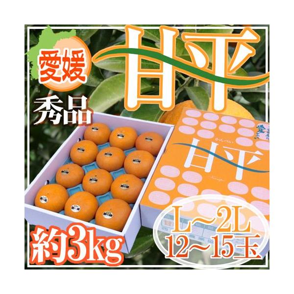 【発売日：2026年01月15日】【送料無料】甘さ、ギッシリ！まろやかな濃い甘さとシャキプリ食感が魅力の「甘平」今、大注目の幻の柑橘！！食べごたえも抜群で今、人気急上昇中です！/フルーツ/果物/3キロ/爆買