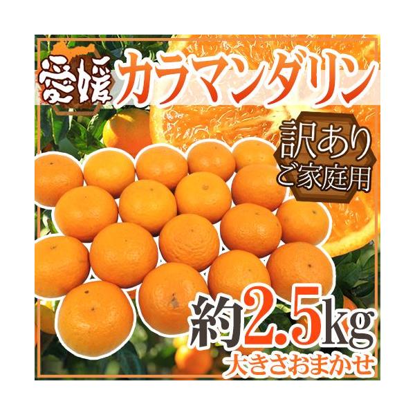 【発売日：2026年04月25日】【送料無料】春まで樹上完熟！ギリギリまで木から栄養を受け取ったコク旨春みかん「カラマンダリン」！濃厚な甘さとみかんみたいに食べられる手軽さで大注目を浴びるかんきつです♪/フルーツ/果物/2.5キロ/爆買