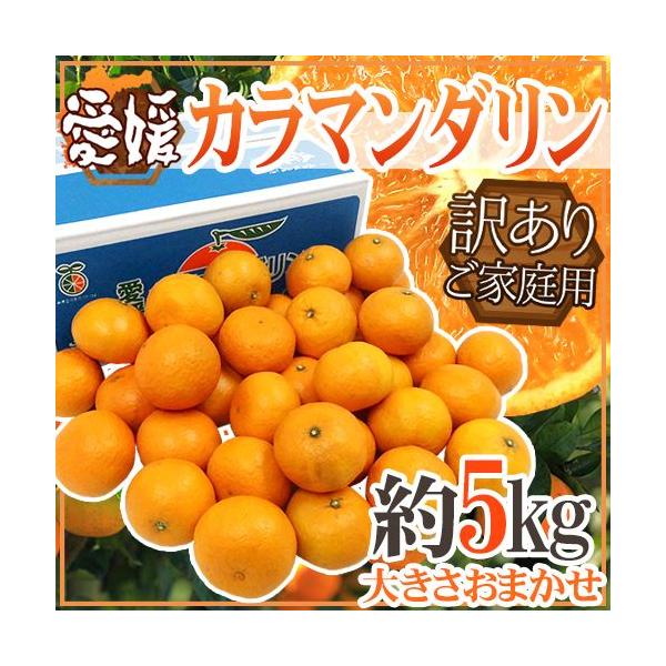 【発売日：2026年04月25日】【送料無料】春まで樹上完熟！ギリギリまで木から栄養を受け取ったコク旨春みかん「カラマンダリン」！濃厚な甘さとみかんみたいに食べられる手軽さで大注目を浴びるかんきつです♪/フルーツ/果物/5キロ/爆買