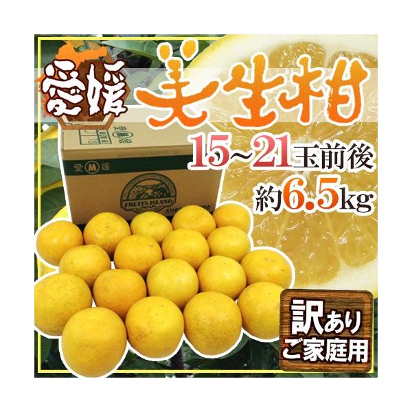 【発売日：2026年04月10日】【送料無料】ジューシーでぷりぷり♪爽やかな甘さで苦味が酸味が少ない！「和製グレープフルーツ」とも呼ばれ、今注目されている品種「美生柑」/フルーツ/果物/6.5キロ/爆買