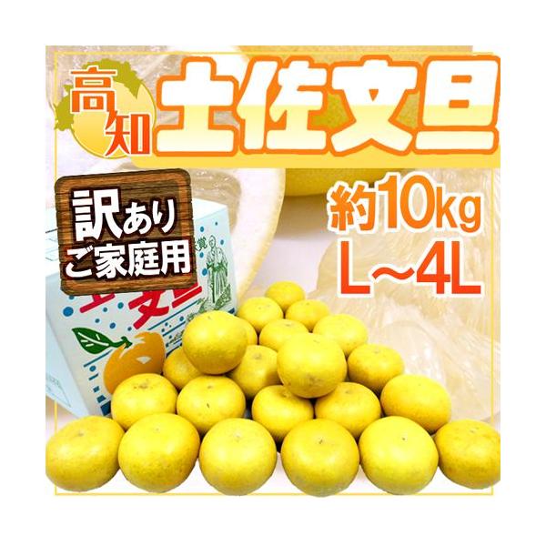 【発売日：2026年02月20日】【送料無料】独特の爽やかな香りと甘みと酸味のバランス、プリプリ食感！キレのある味わいは柑橘好きならハマること間違いなし！？上品な味わいは女性にオススメです！/ぶんたん/ブンタン/フルーツ/果物/10キロ/爆買