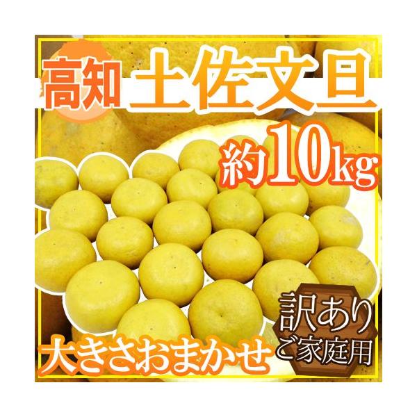 【発売日：2026年02月10日】【送料無料】独特の爽やかな香りと甘みと酸味のバランス、プリプリ食感！グレープフルーツよりも上品でキレのある味わいは柑橘好きならハマること間違いなし！？上品な味わいは女性にオススメ♪最安値に挑戦中！お買い得価...