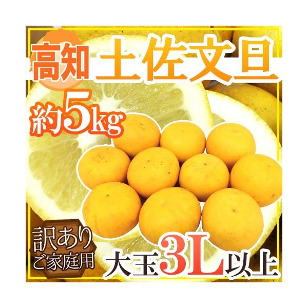 【発売日：2026年02月10日】【送料無料】独特の爽やかな香りと甘みと酸味のバランス、プリプリ食感！グレープフルーツよりも上品でキレのある味わいは柑橘好きならハマること間違いなし！？上品な味わいは女性にオススメ♪最安値に挑戦中！お買い得価...