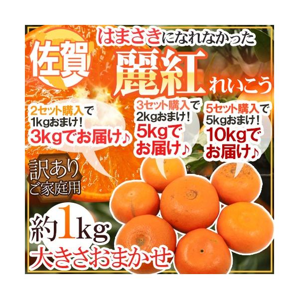 【発売日：2026年02月10日】【送料無料】"清見オレンジ""マーコット""アンコール"３種の柑橘をいいとこどりした「せとかの姉妹・麗紅」の佐賀県ブランド♪ジューシーさ・甘さ共にせとかに負けない！ハマサキ/麗紅/れいこう/レイコウ/みかん...