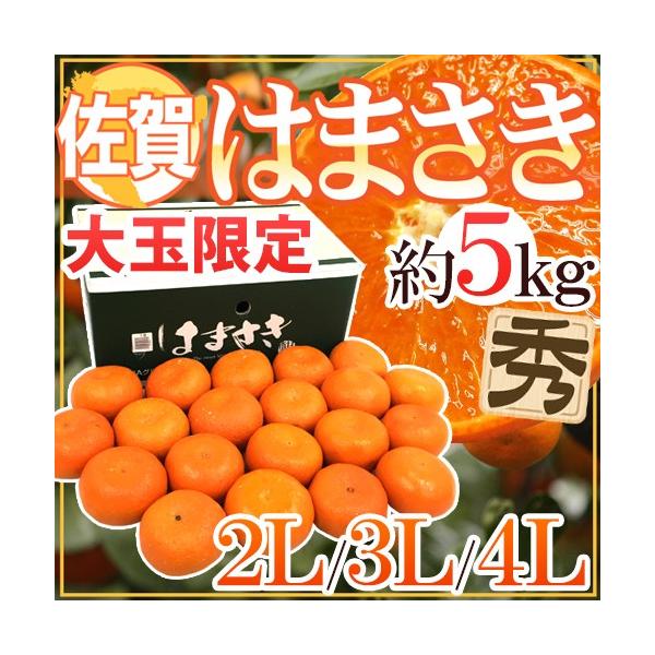 【発売日：2026年02月10日】【送料無料】"清見オレンジ""マーコット""アンコール"３種の柑橘をいいとこどりした「せとかの姉妹・麗紅」の中でも、美しく糖度の高いものだけを詰めた特撰品！/ハマサキ/麗紅/れいこう/レイコウ/みかん/ミカ...