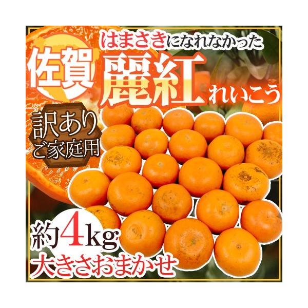 【発売日：2026年02月10日】【送料無料】"清見オレンジ""マーコット""アンコール"３種の柑橘をいいとこどりした「せとかの姉妹・麗紅」の佐賀県ブランド♪ジューシーさ・甘さ共にせとかに負けない！ハマサキ/麗紅/れいこう/レイコウ/みかん...