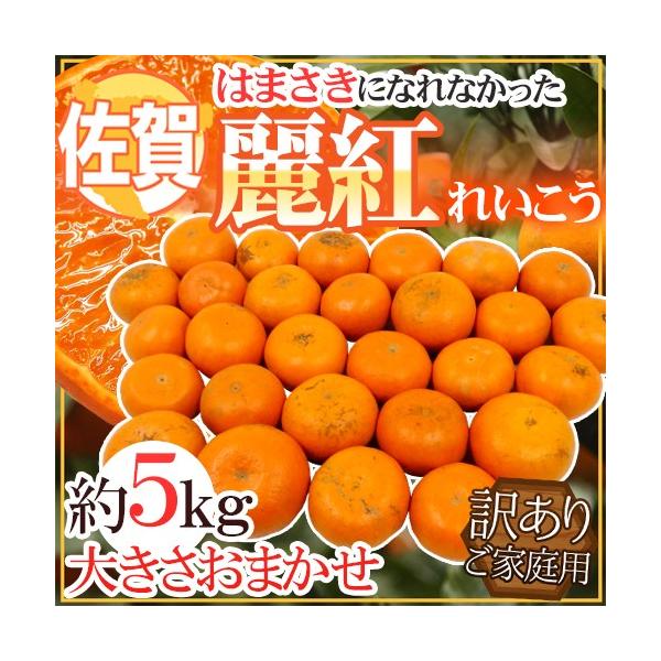 【発売日：2026年02月10日】【送料無料】"清見オレンジ""マーコット""アンコール"３種の柑橘をいいとこどりした「せとかの姉妹・麗紅」の佐賀県ブランド♪ジューシーさ・甘さ共にせとかに負けない！ハマサキ/麗紅/れいこう/レイコウ/みかん...