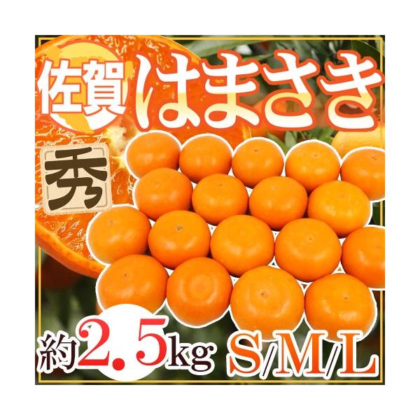 【発売日：2026年02月10日】【送料無料】"清見オレンジ""マーコット""アンコール"３種の柑橘をいいとこどりした「せとかの姉妹・麗紅」の佐賀県ブランド♪ジューシーさ・甘さ共にせとかに負けない！ハマサキ/麗紅/れいこう/レイコウ/みかん...