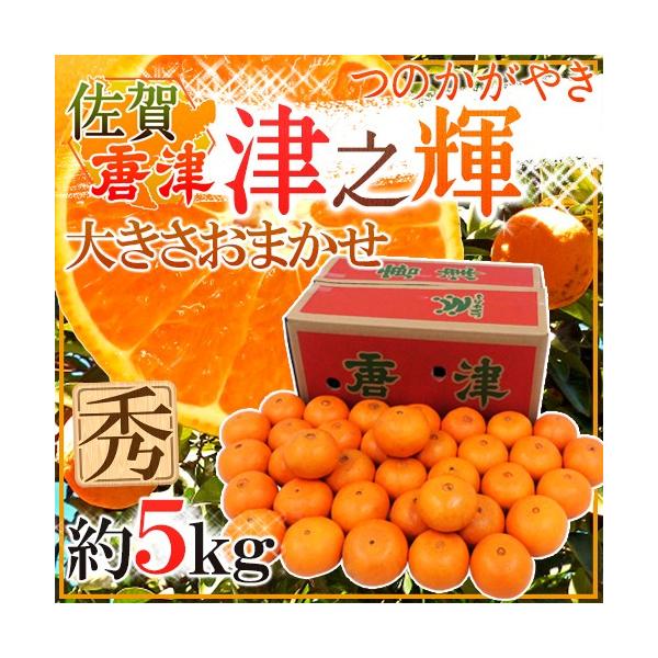 【発売日：2026年01月15日】【送料無料】とにかく濃厚！今大注目の新柑橘「津之輝」が訳アリでお得に登場！次に大ブームを起こすといわれている超優良品種を先取りで♪/フルーツ/果物/5キロ/爆買