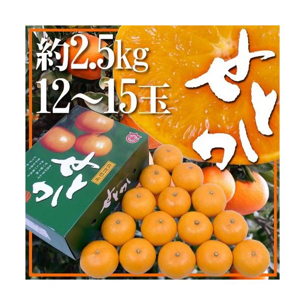 【発売日：2026年01月15日】【送料無料】"清見オレンジ""マーコット""アンコール"３種の柑橘をいいとこどりした「柑橘の大トロ」せとか！！ＴＶや雑誌にもとりあげられ、海外からも注目を浴びる新品種♪/フルーツ/果物/2.5キロ/爆買