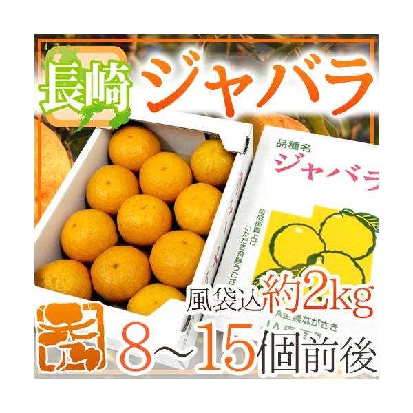 【発売日：2026年01月15日】【送料無料】今、花粉症の方に注目されている「じゃばら」！ゆずの二倍の果汁量！酸味と苦味、爽やかな独特の豊かな香りはお料理にもピッタリ！/フルーツ/果物/2キロ/爆買