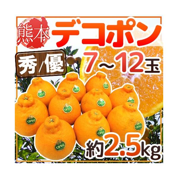 【発売日：2026年01月10日】【送料無料】オレンジとポンカンのいいところどり♪注目の柑橘「不知火」を厳選した「デコポン」！「本場・発祥の地」熊本県の厳選されたブランドデコポンをお届けします♪/不知火/でこぽん/デコ柑/デコみかん/しらぬ...