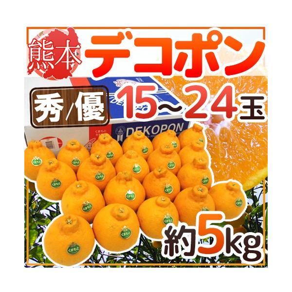 【発売日：2026年01月10日】【送料無料】オレンジとポンカンのいいところどり♪注目の柑橘「不知火」を厳選した「デコポン」！「本場・発祥の地」熊本県の厳選されたブランドデコポンをお届けします♪/不知火/でこぽん/デコ柑/デコみかん/しらぬ...