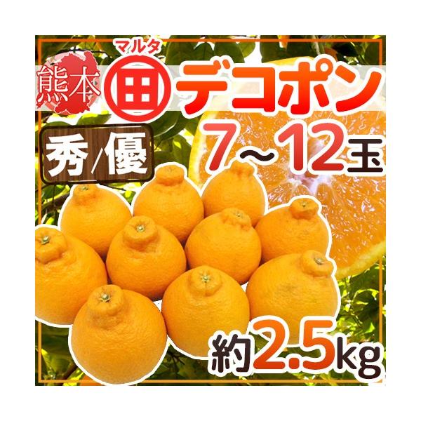 【発売日：2026年01月10日】【送料無料】オレンジとポンカンのいいところどり♪注目の柑橘「不知火」を厳選した「デコポン」！「本場・発祥の地」熊本県の中でも一目置かれるブランド産地・JAあしきたの"マルタ（○田）選果場"で厳選されたでこぽ...