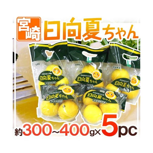 【発売日：2026年02月15日】【送料無料】甘味の強い白皮と一緒に食べることで、他の柑橘にはない独特のさわやかな風味♪一度食べたら癖になる！？味わいです！高知県では小夏として、愛媛県ではニューサマーオレンジとして出荷されます。小夏/ニュー...