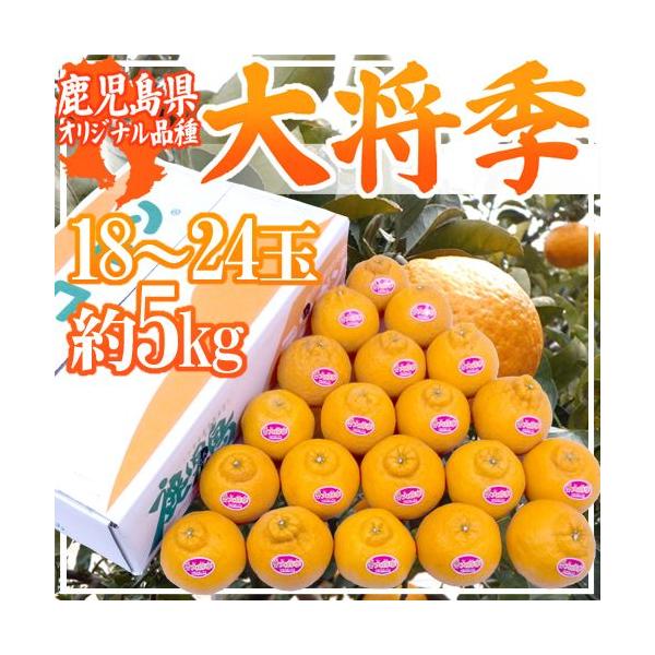 【発売日：2026年01月25日】【送料無料】鹿児島県オリジナルブランド！「紅」も「味」も濃い奇跡のデコポン"大将季"！高い糖度と濃厚なコクはほかのデコポンにない味わい♪見栄えも抜群でギフトにも！/フルーツ/果物/5キロ/爆買